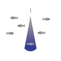 Milne Technologies - Fisheries Acoustics